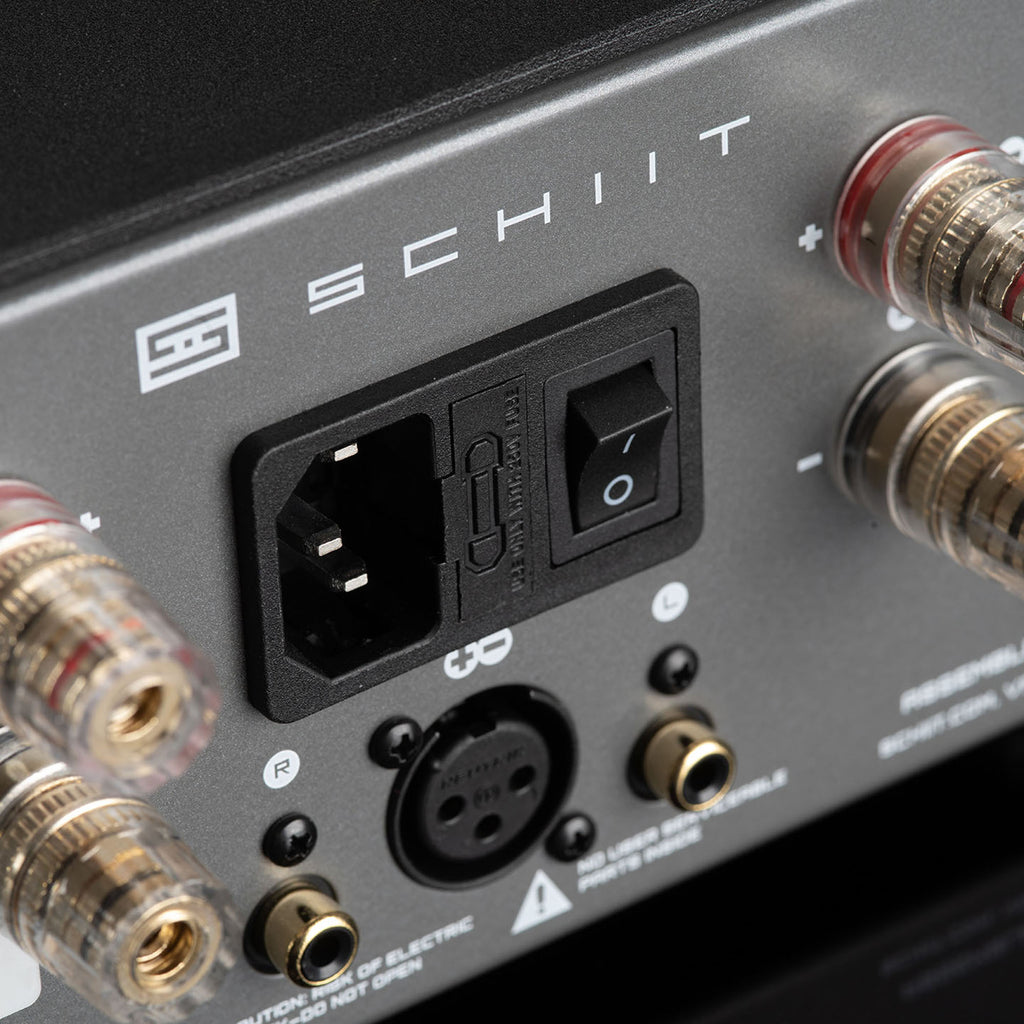 schiit-audio-aegir-2f-power-amplifier-back_1024x.jpg?v=1742870605